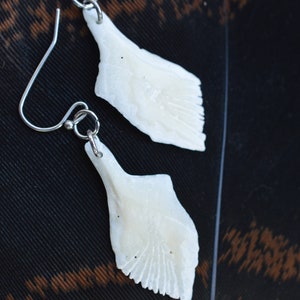 Alligator Gar Earrings Natural Bone Lever Back Option Real Fish Bone ...