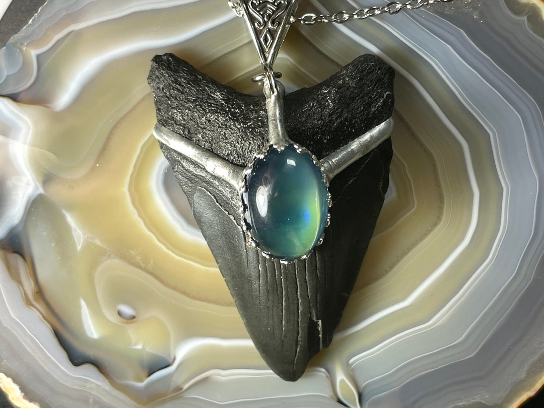 Fossil Shark Tooth Pendant With Blue Opal Glass Accent - Etsy