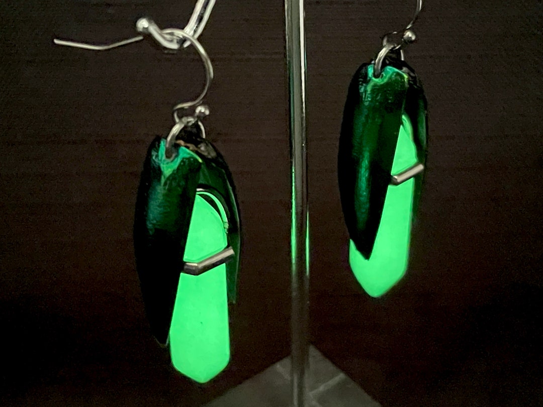 Glow in the Dark Firefly Lightning Bug Earrings Phosphorescent Real ...
