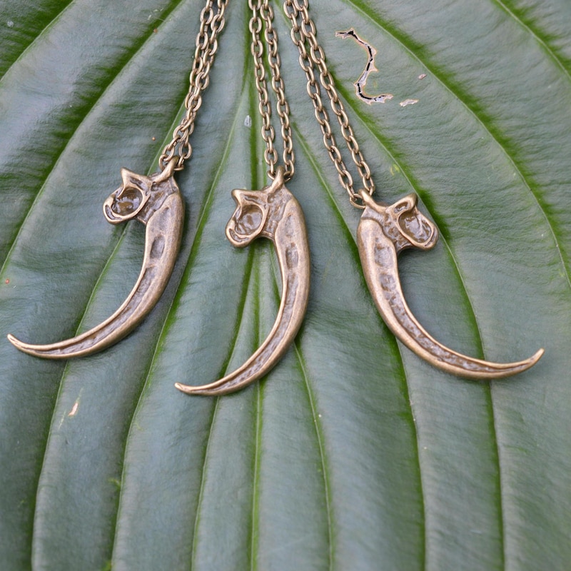 Bird Talons - Etsy