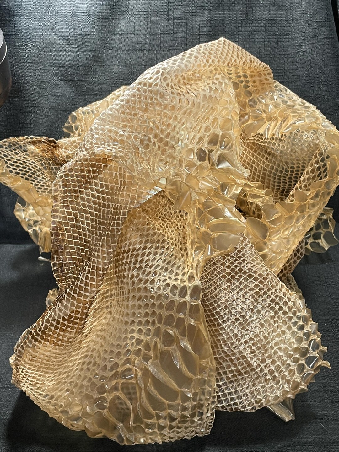 Boa Constrictor Shed Skin - 10 Feet - 4pc Ethically Sourced Cruelty ...