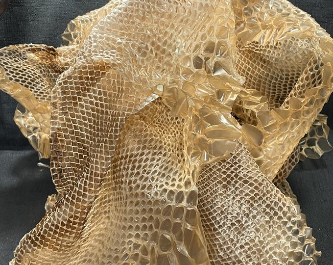 Boa Constrictor Shed Skin - 10 Feet - 4pc Ethically Sourced Cruelty ...