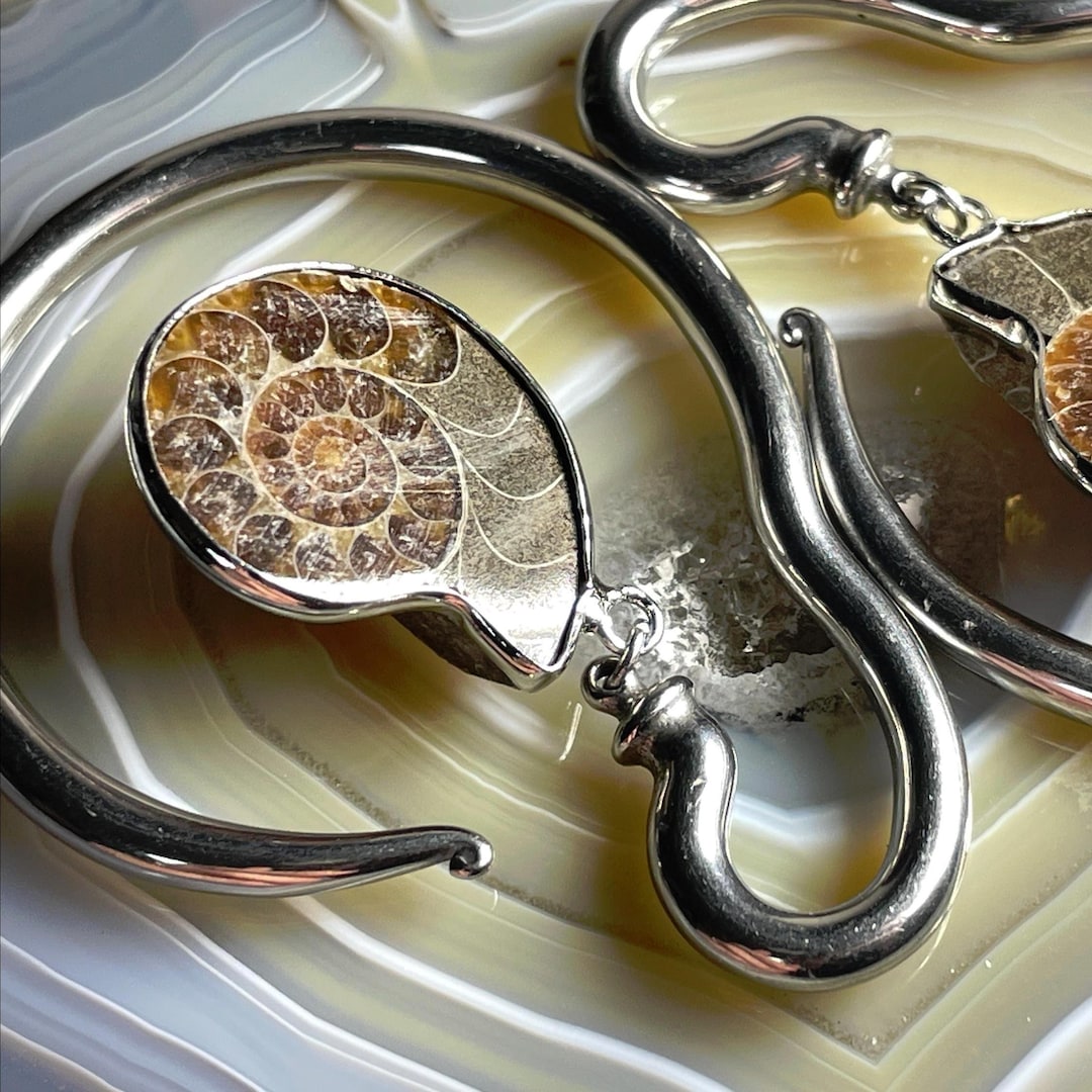 Ammonite Fossil Ear Hangers 6g/4mm Stainless Steel Hoop Weights - Etsy