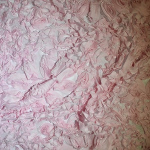 Pink Mesh With Pink Chiffon 3D Ruffle Special Occasion Prom Princess or ...