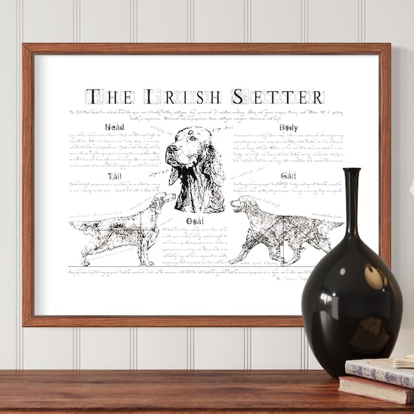 Irish Setter Art - Etsy