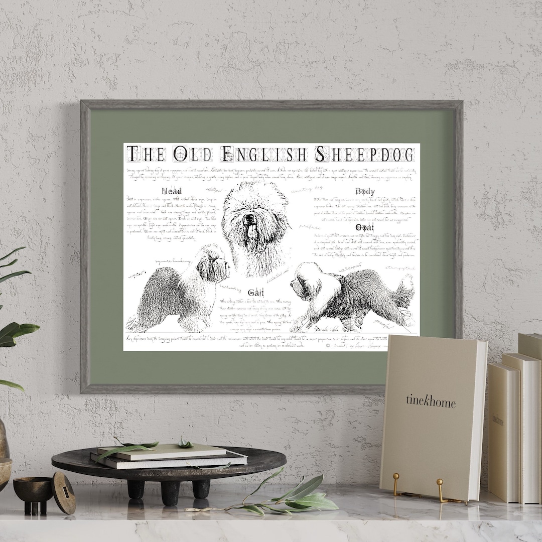 Old English Sheepdog Poster - Antique Styled Dog Breed Chart - Vintage ...