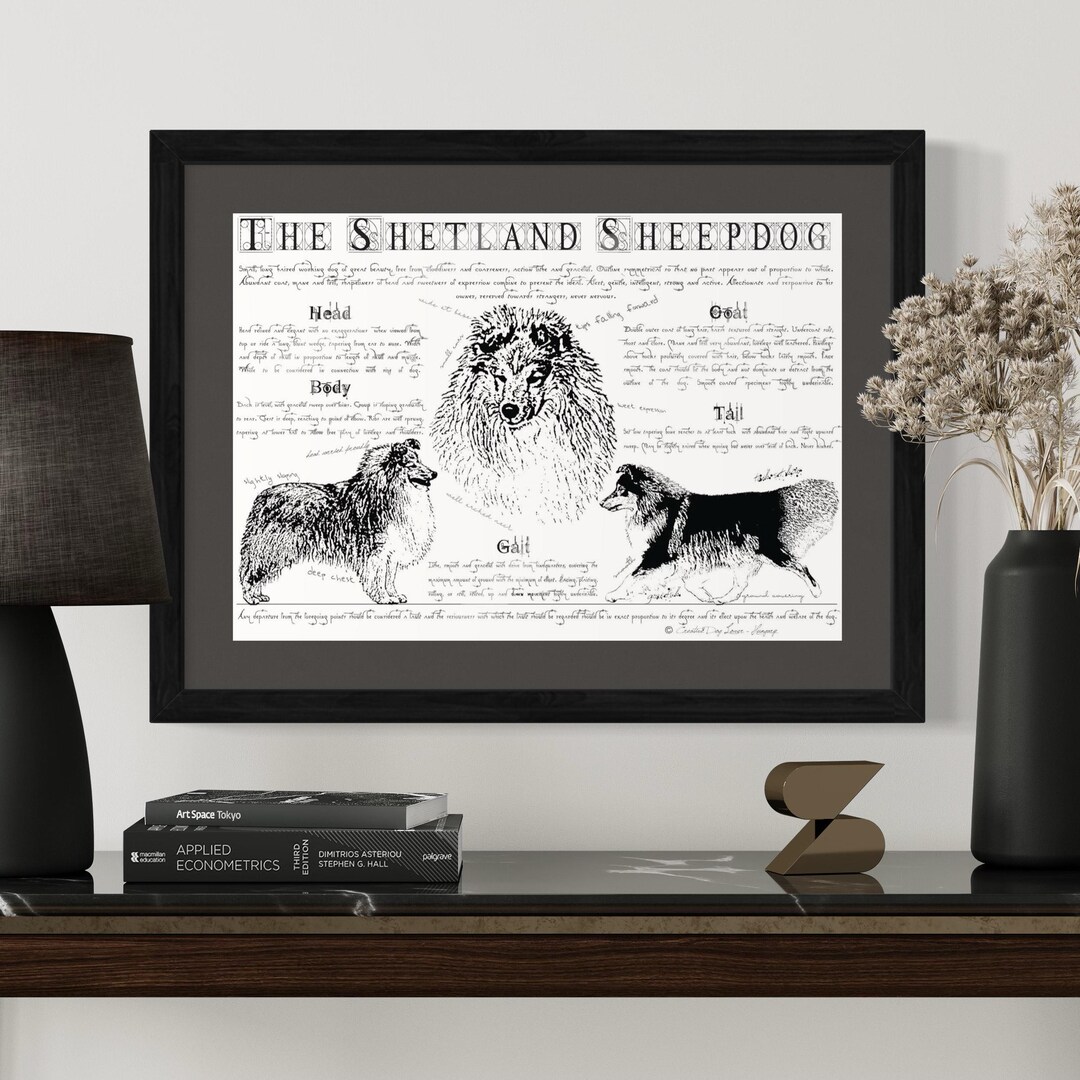 Vintage Shetland Sheepdog Poster – Dog Breed Art Print & Wall Gift for ...