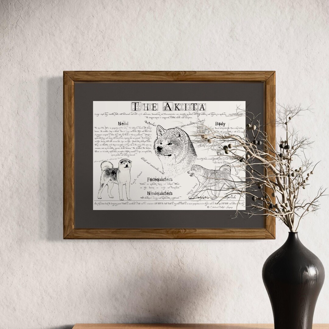 Akita Vintage Poster – Japanese Akita Dog Breed Chart & Anatomy ...
