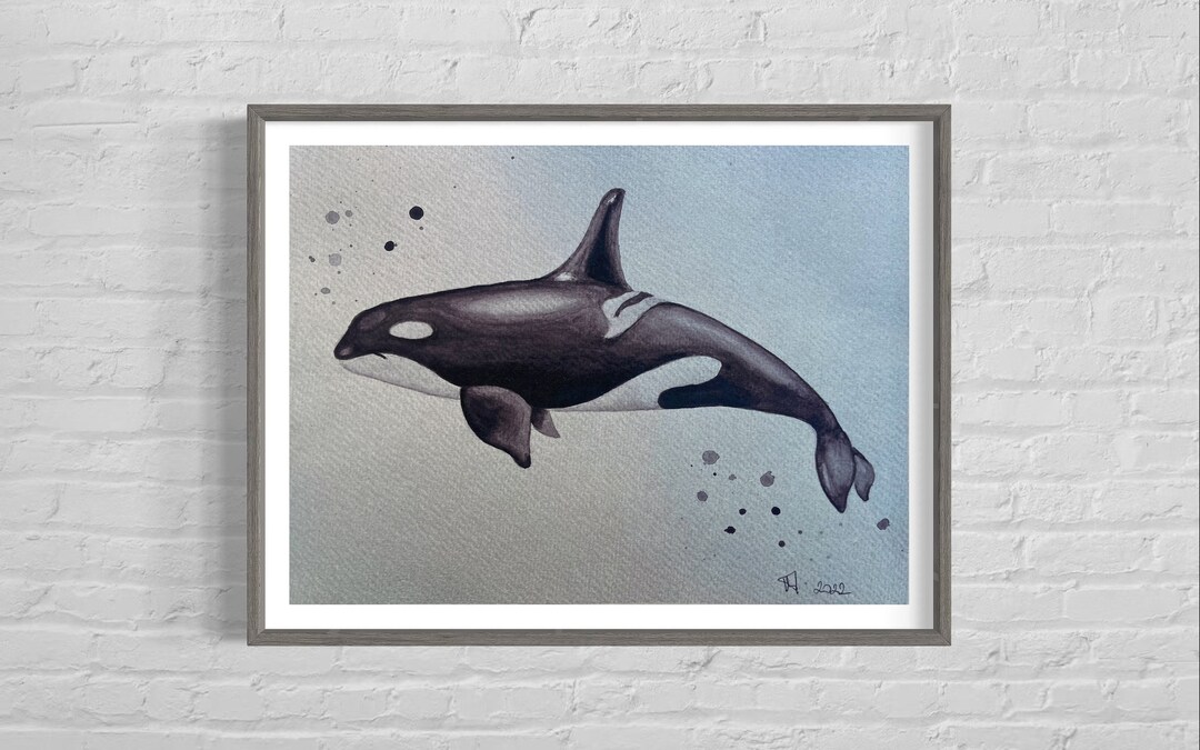 Orca Whale - Handmade Watercolour Painting - Etsy