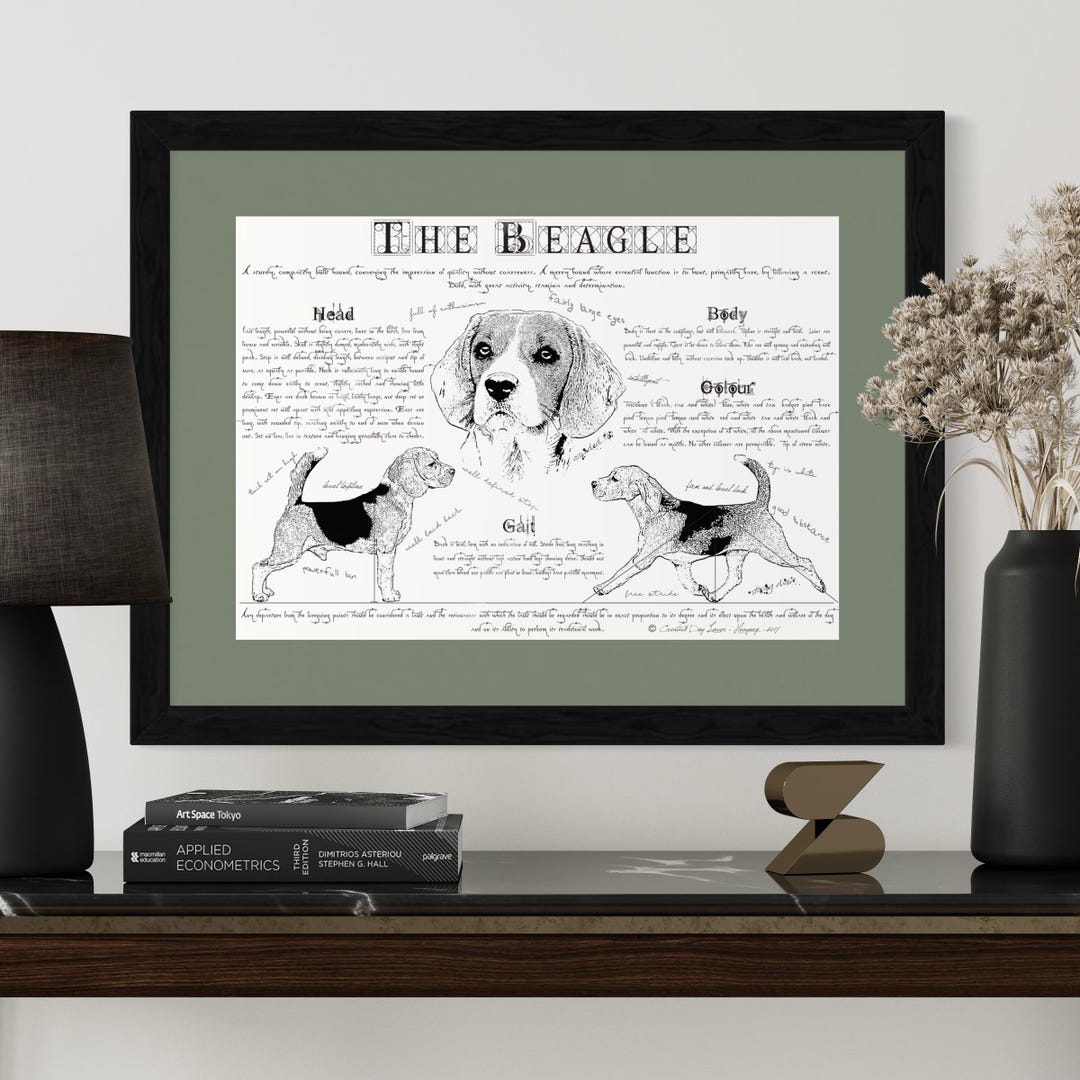 Beagle Dog Breed Poster - Body Conformation - Vintage Beagle Print ...