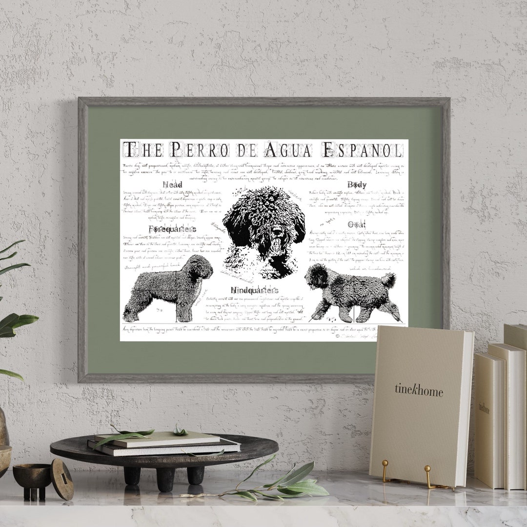 Perro De Aqua Breed Poster - Perro De Aqua Print - Antique Styled Dog ...