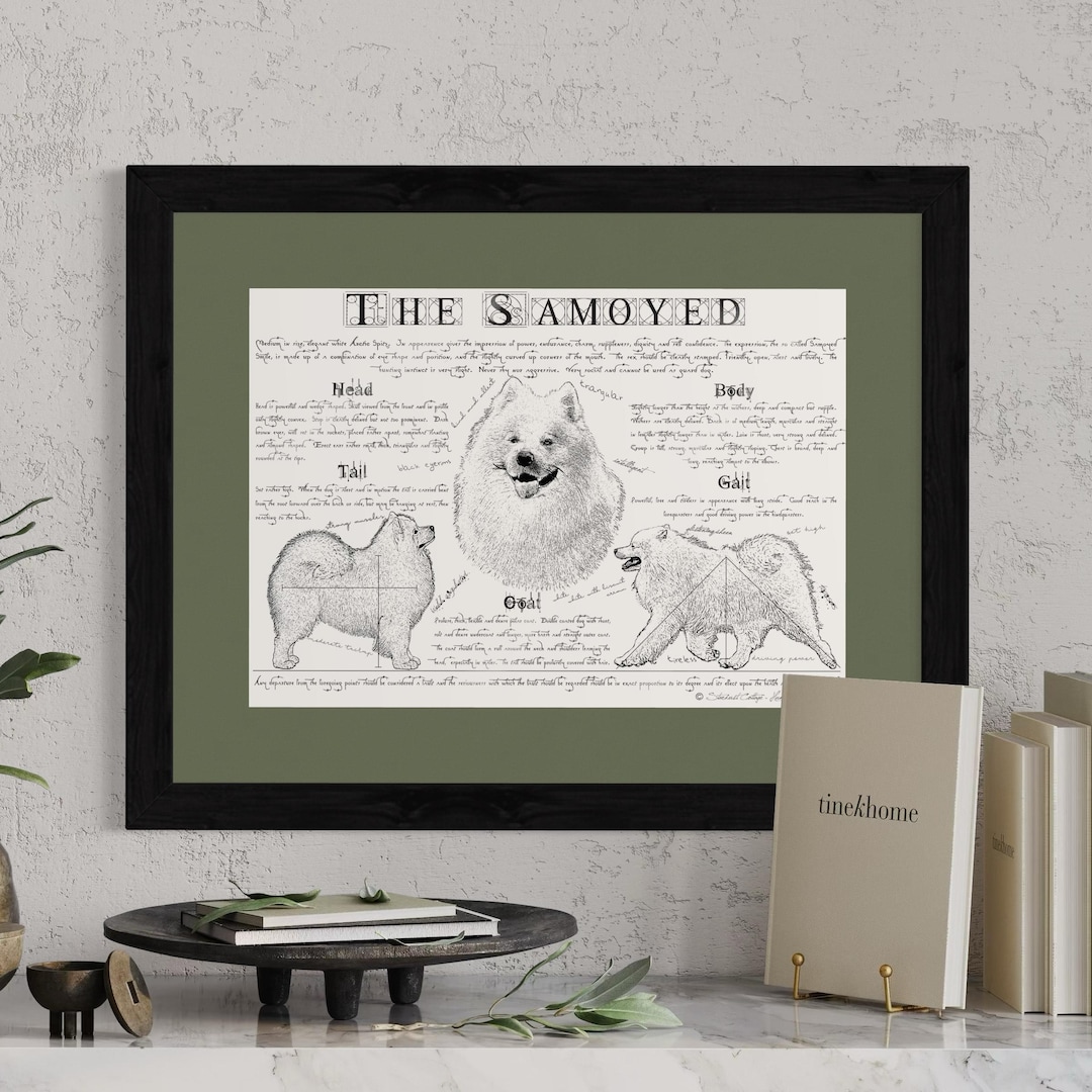 Samoyed Dog Breed Poster - Body Conformation - Vintage Samoyed Print - Samoyed Illustration ...