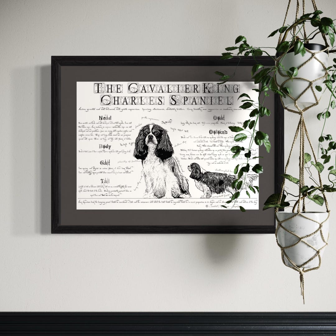 Cavalier King Charles Spaniel Vintage Poster – Dog Breed Chart ...