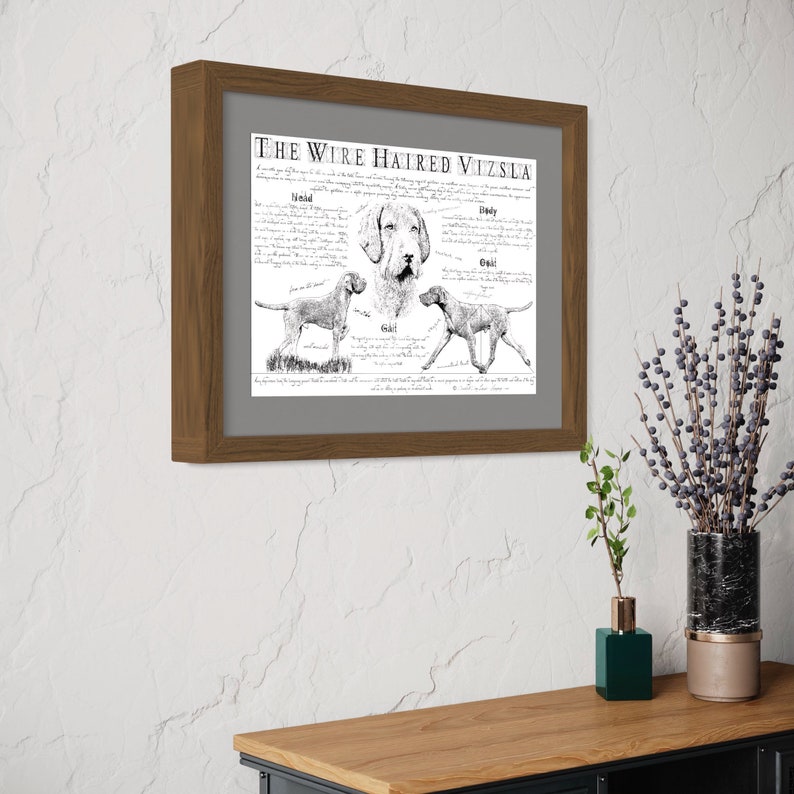 Wire-haired Vizsla Dog Breed Poster Wire-haired Vizsla Body ...