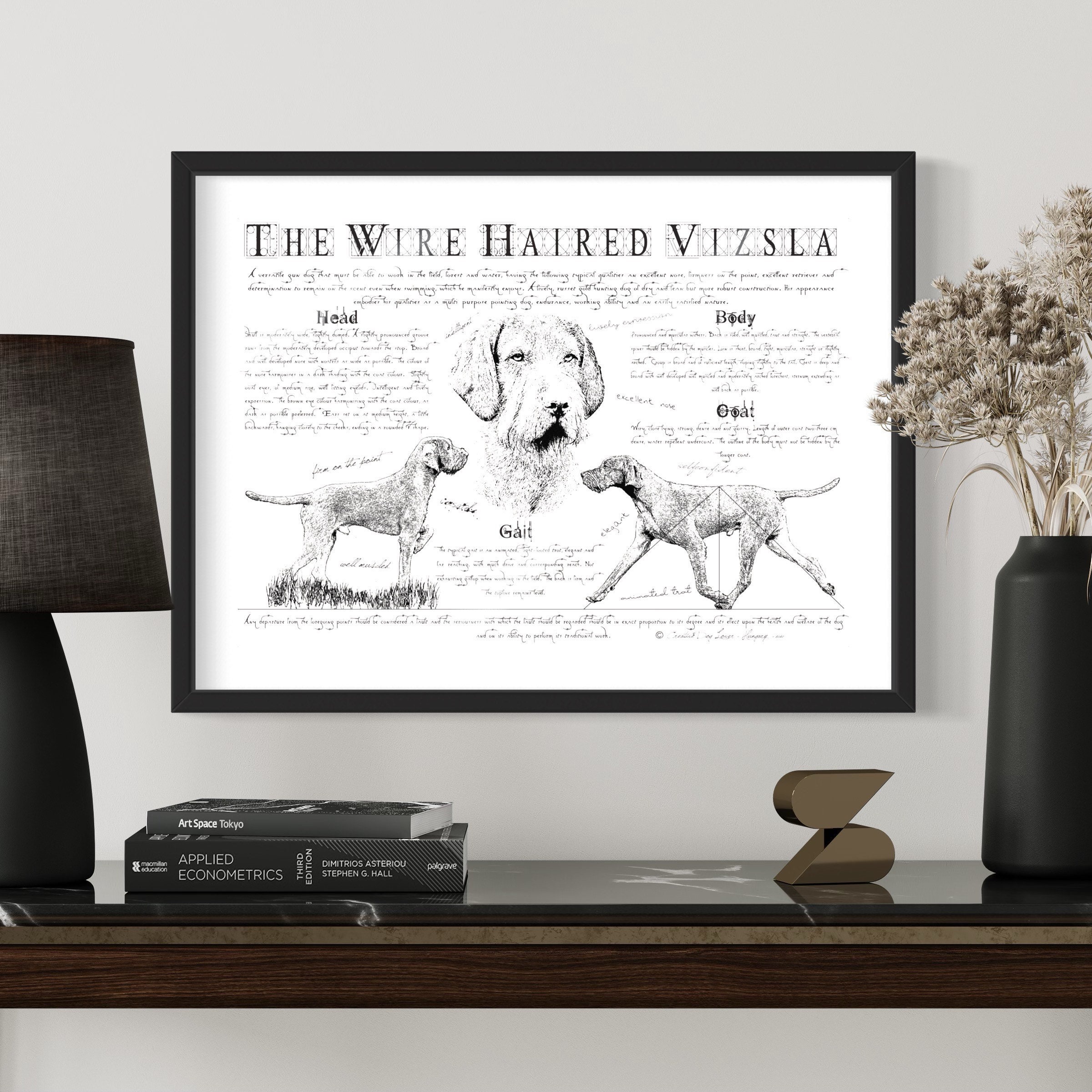 Wire-haired Vizsla Dog Breed Poster Wire-haired Vizsla Body ...