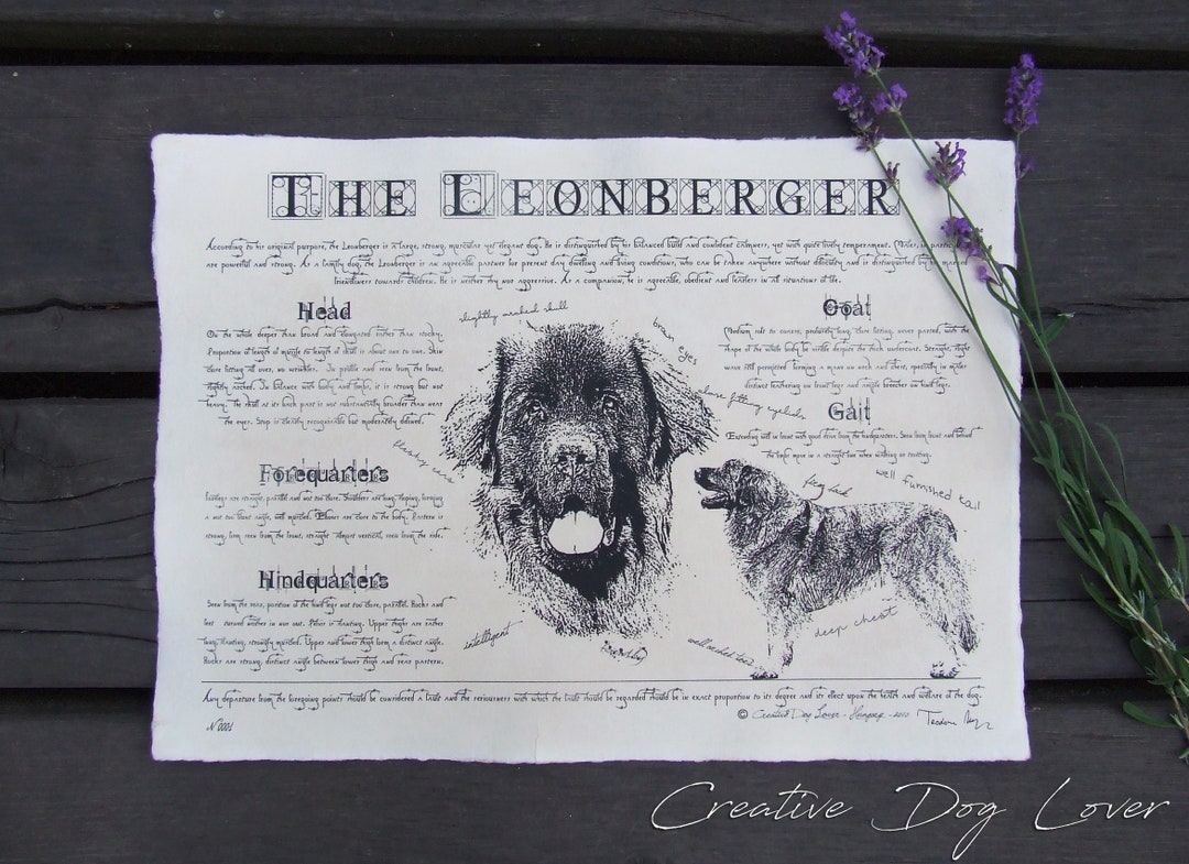 Antique Styled Dog Standard Leonberger - Etsy