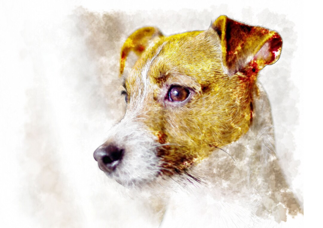Digital Painting Jack Russel Terrier - Etsy