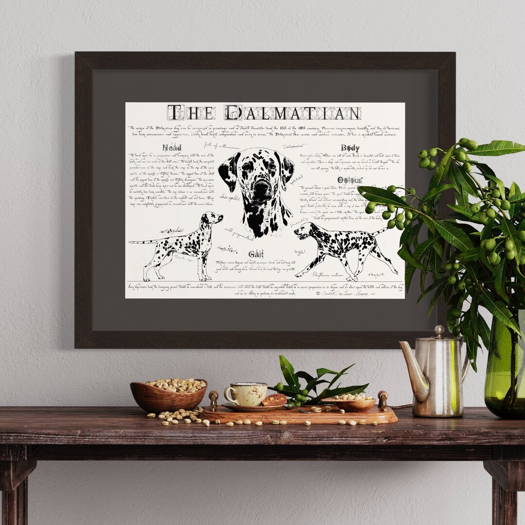 Dalmatian Breed Poster - Antique Styled Dog Breed Chart - Vintage ...