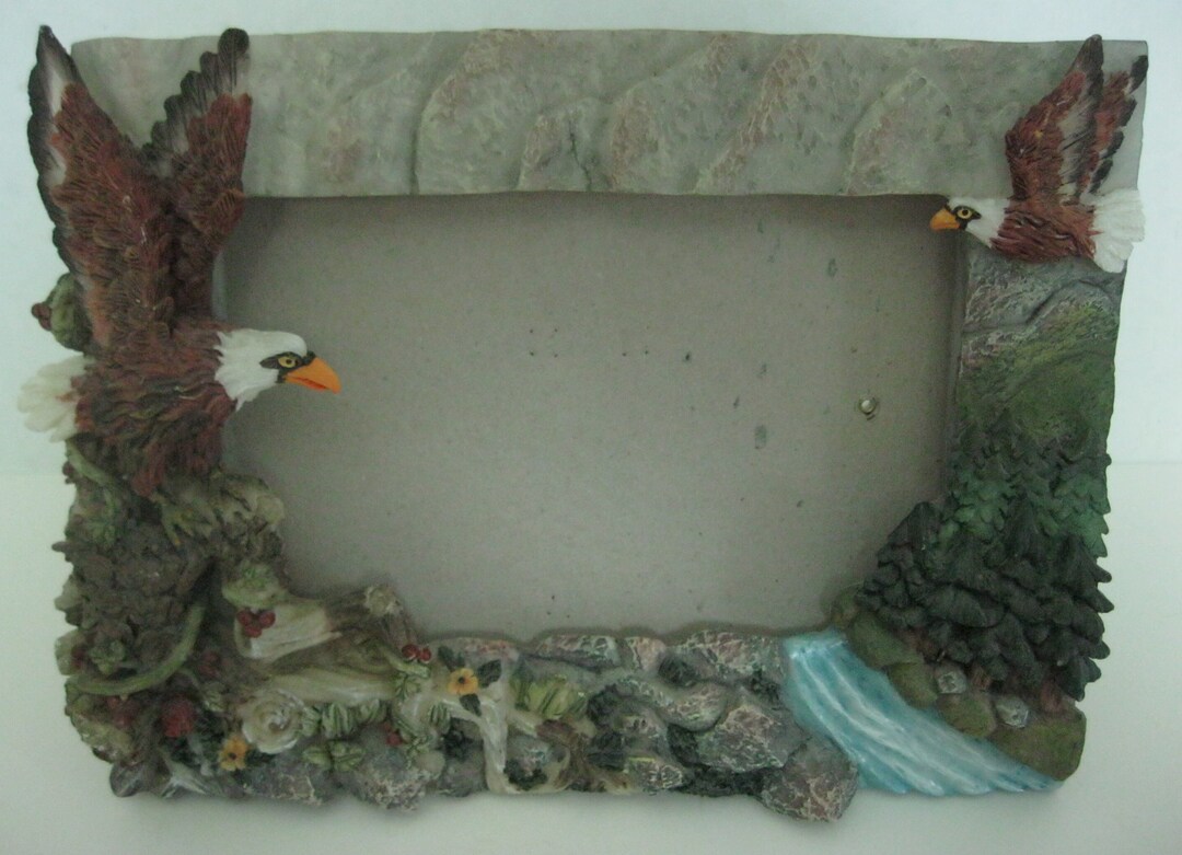 Vintage American Eagle Picture Frame 3D Resin NO GLASS - Etsy