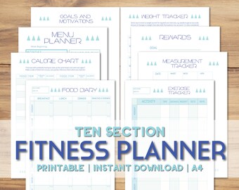 100 day Challenge one hundred days goals project tracker | Etsy