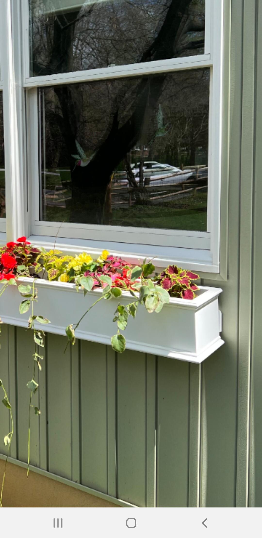 Sale 36" White Cellular Pvc. Made to Order New Colonial Style Window ...