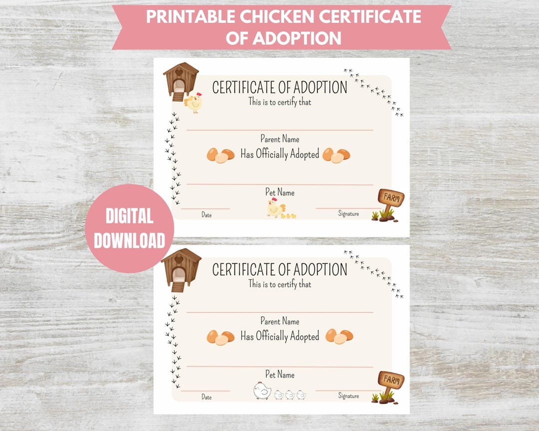 Adopt a Chicken Printable Certificate of Adoption PDF 5x7 Adoption ...