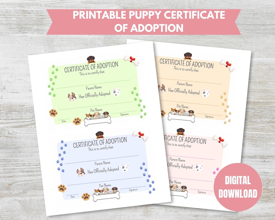 Plushie Printable Certificate of Adoption PDF Print 5x7 Adoption ...