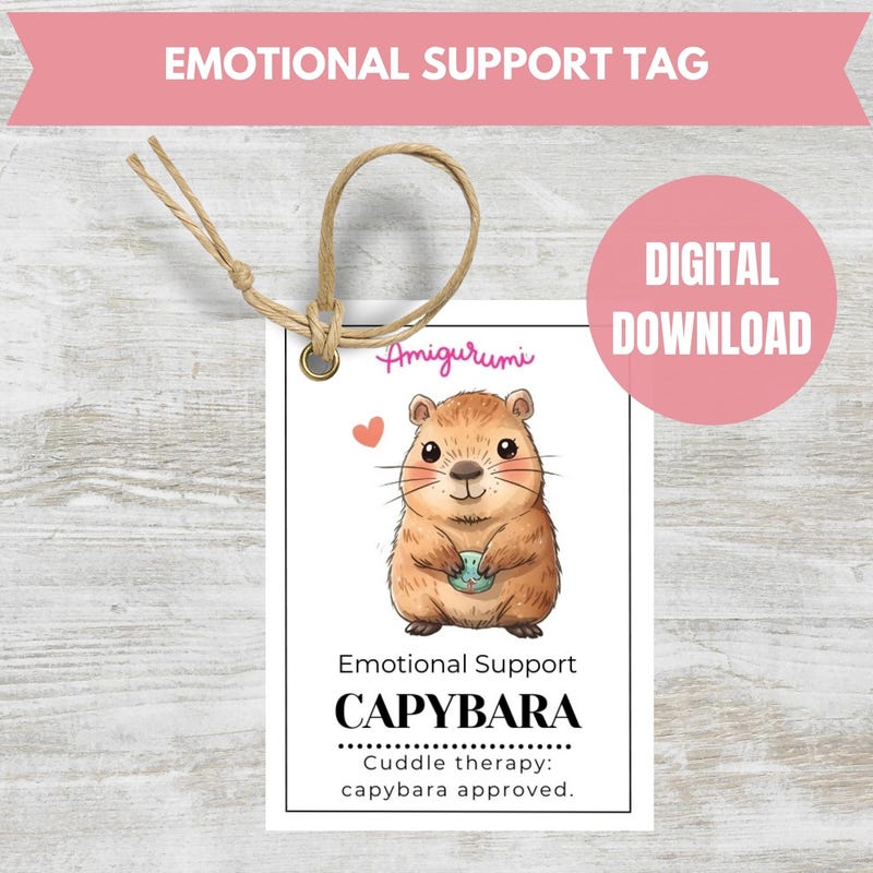 Capybara Sticker Crochet - Etsy
