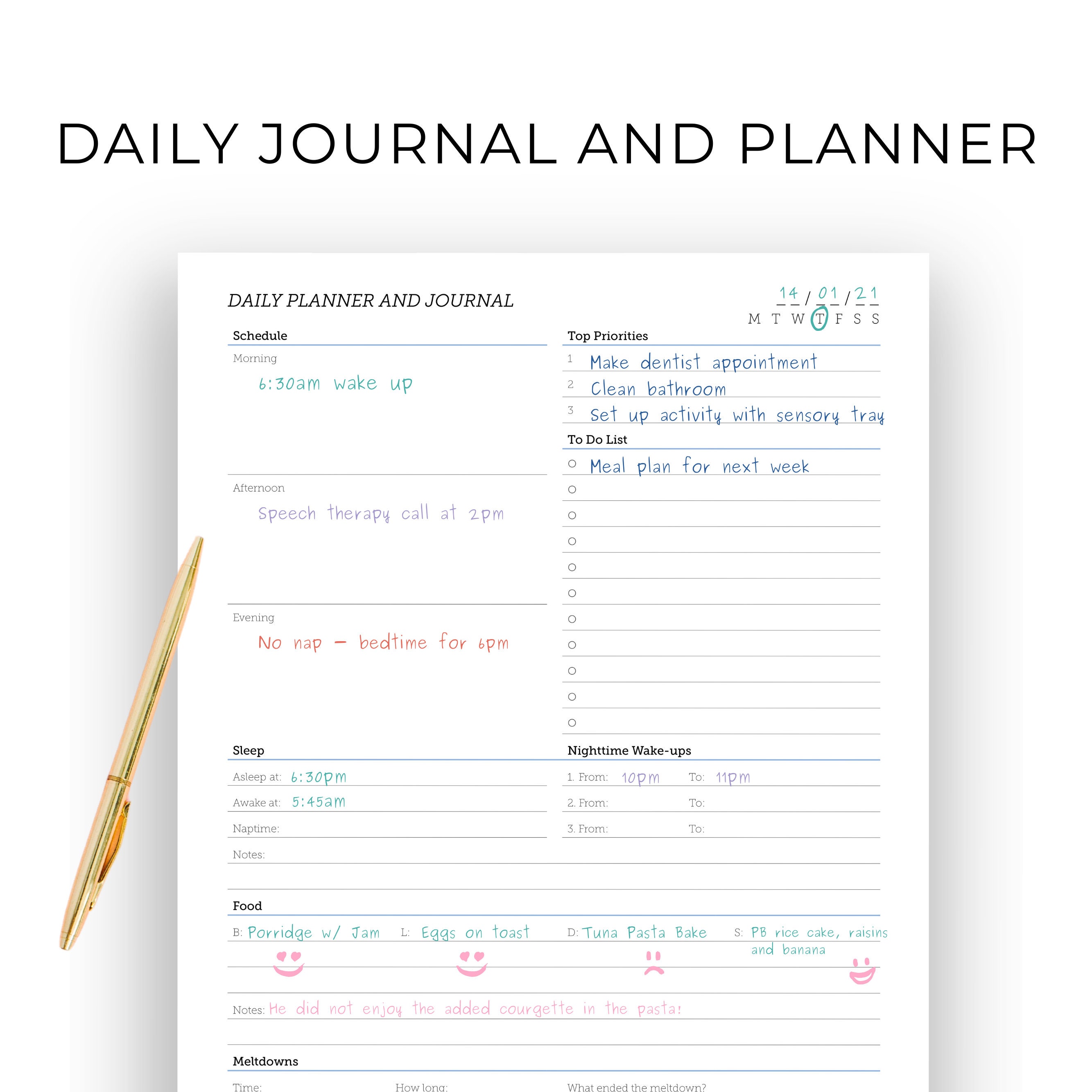PRINTABLE Daily Planner & Journal for Neurodiverse Families - Autistic ...