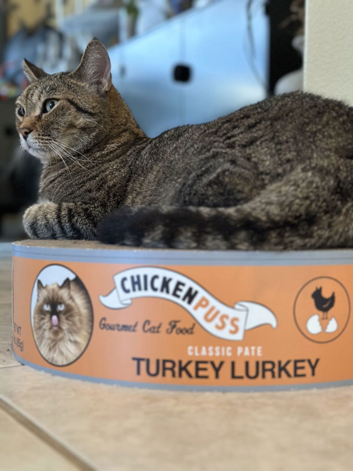 The Endless Buffet Cat Scratch Pad - Etsy