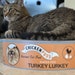 The Endless Buffet Cat Scratch Pad - Etsy