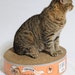 The Endless Buffet Cat Scratch Pad - Etsy