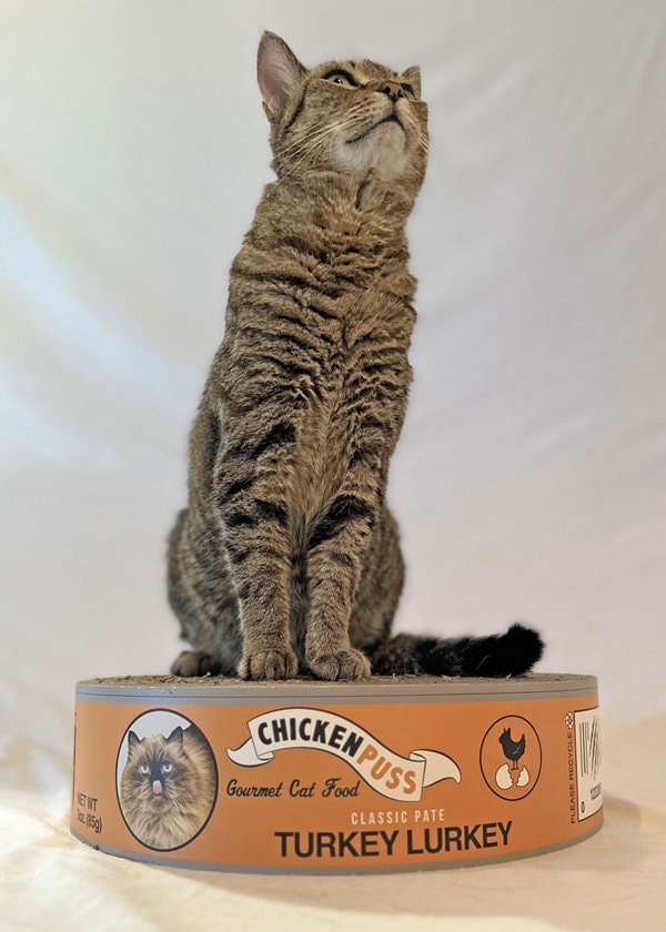 The Endless Buffet Cat Scratch Pad - Etsy