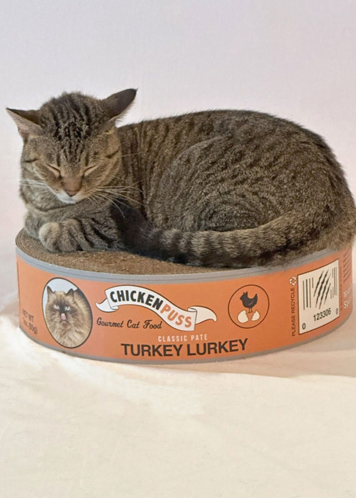 The Endless Buffet Cat Scratch Pad - Etsy