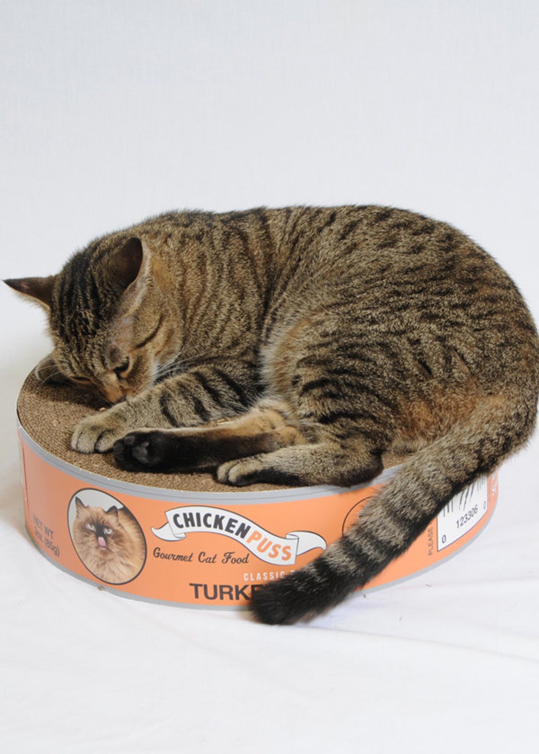 The Endless Buffet Cat Scratch Pad - Etsy