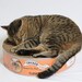 The Endless Buffet Cat Scratch Pad - Etsy