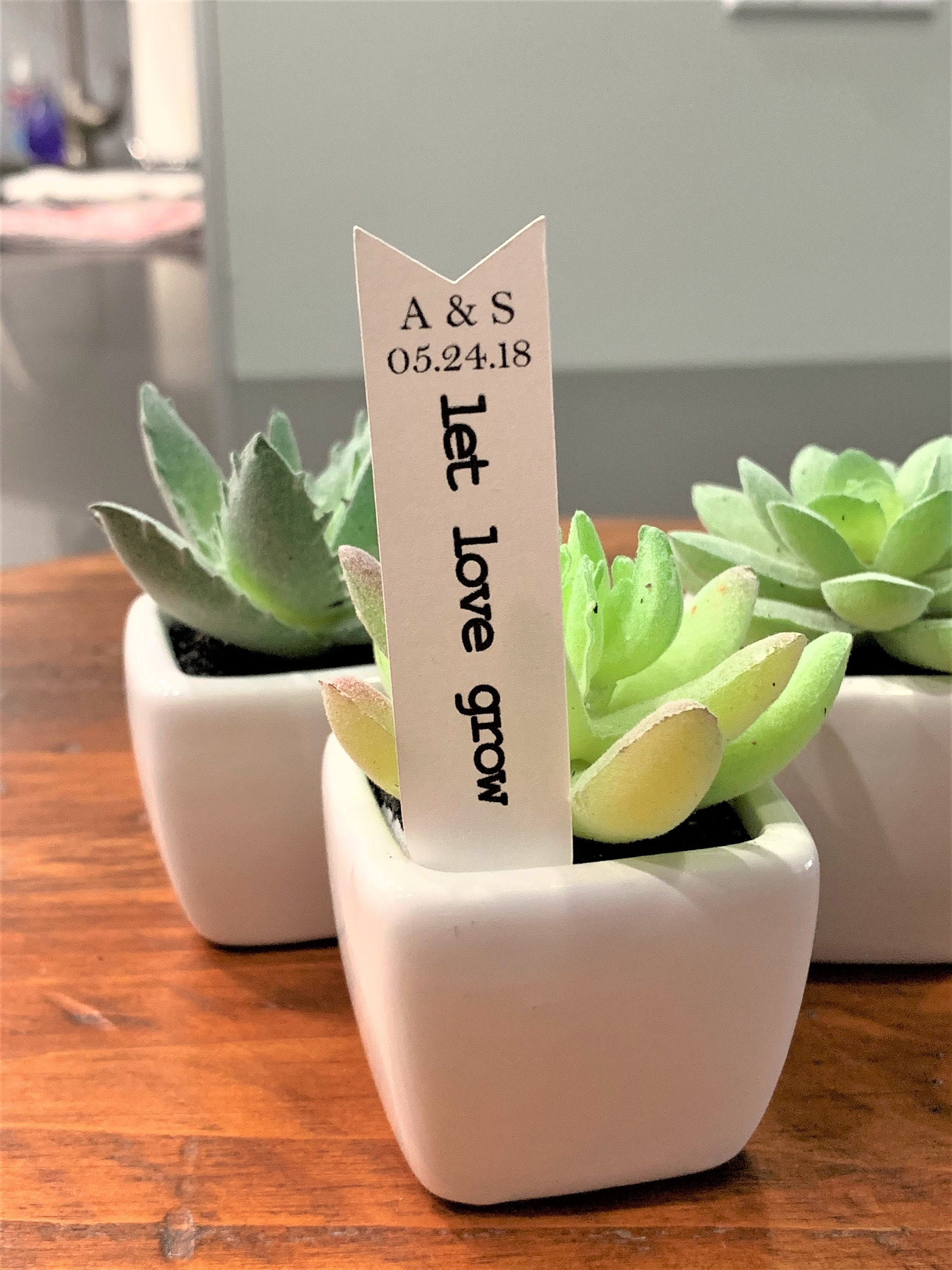 Let Love Grow Favor Tags Succulent Favor Tag Bridal Shower - Etsy