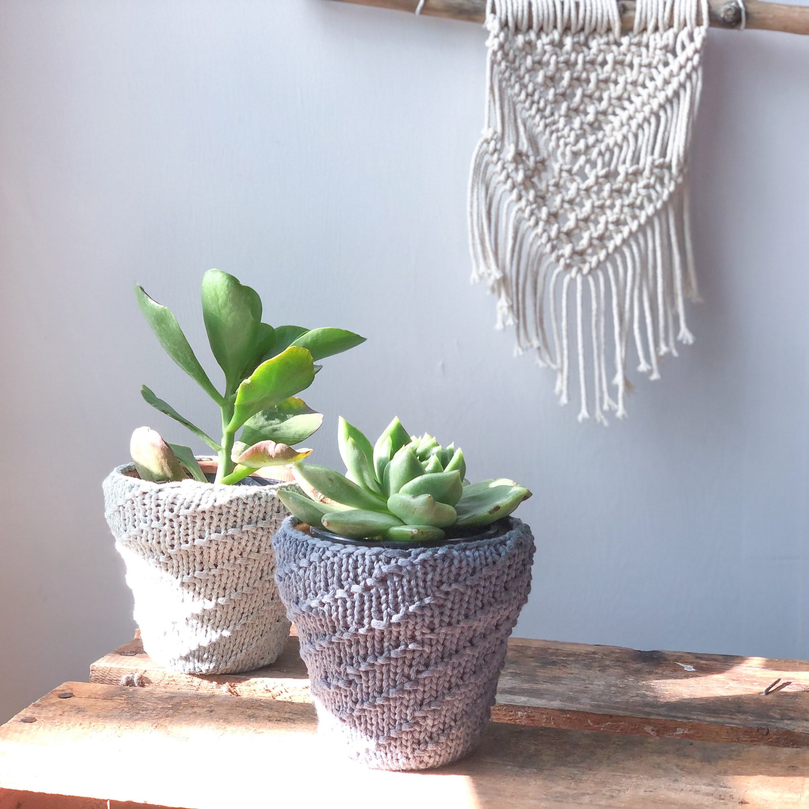 PDF Knit Pattern Plant Pot Cozy Instant Download Succulent Planter ...