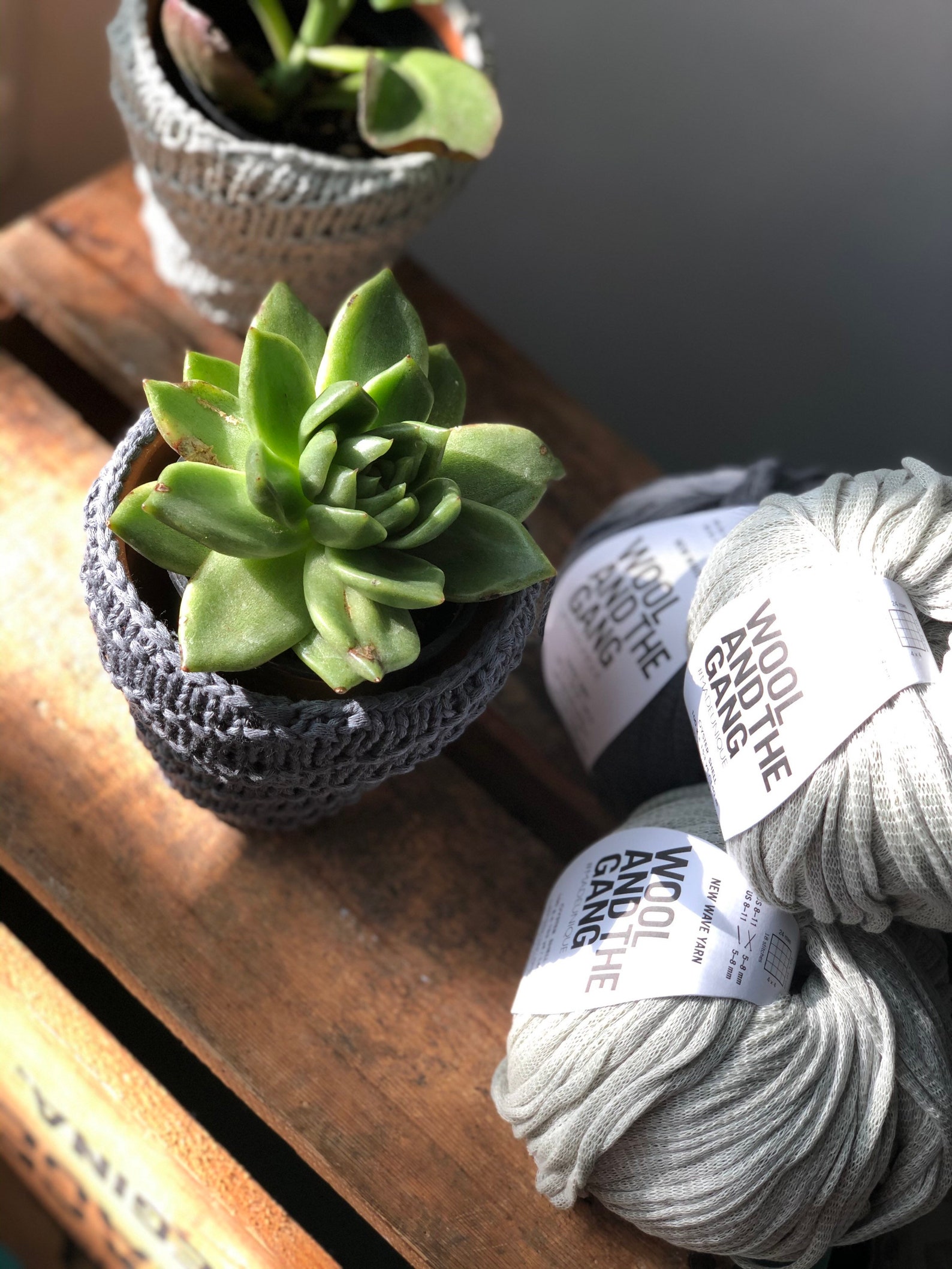 PDF Knit Pattern Plant Pot Cozy Instant Download - Etsy