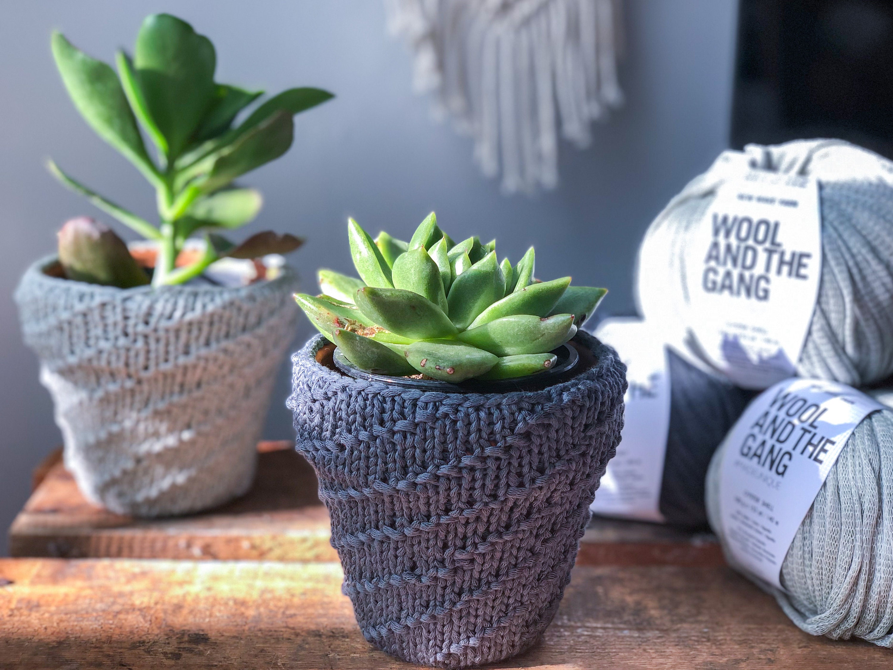 PDF Knit Pattern Plant Pot Cozy Instant Download Succulent Planter ...