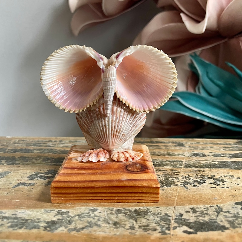Sea Shell Art - Etsy