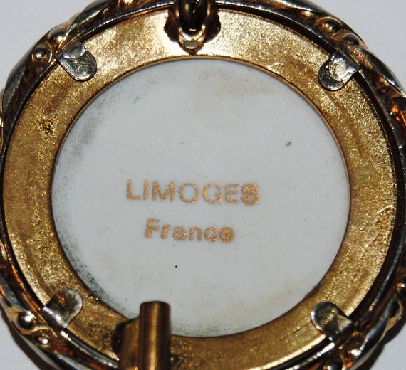 Beautiful Vintage Limoges France Brooch - Gem