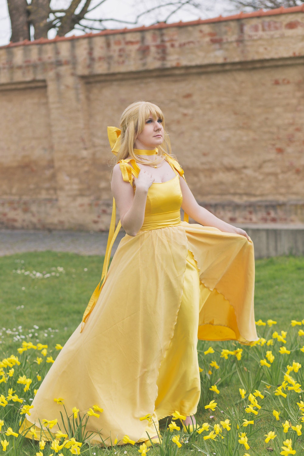 Princess Venus Cosplay