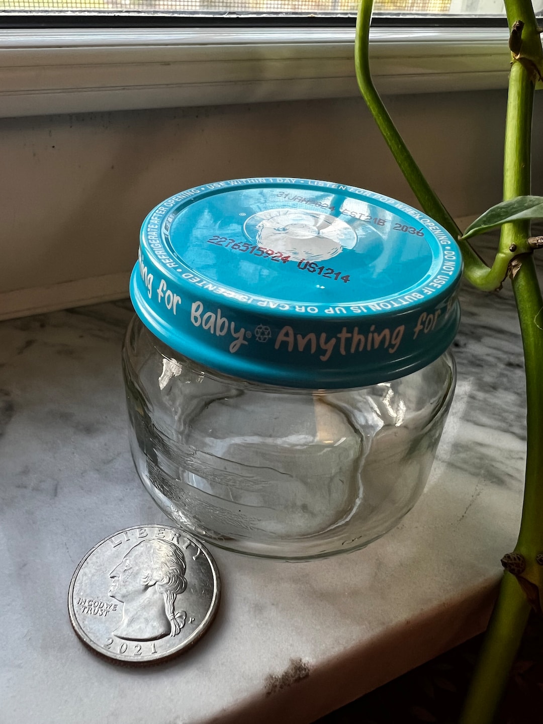 Lot of 30 Clean, Empty, 2.5oz Baby Food Jar light Blue Lid - Etsy