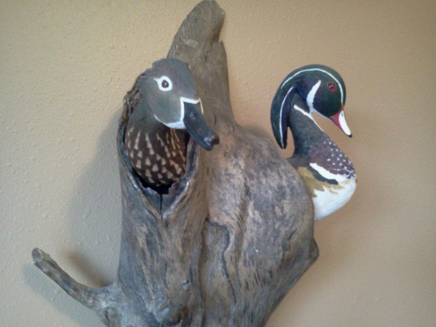 Bass Wood Carving of Nesting Wood Duck Pair - Etsy