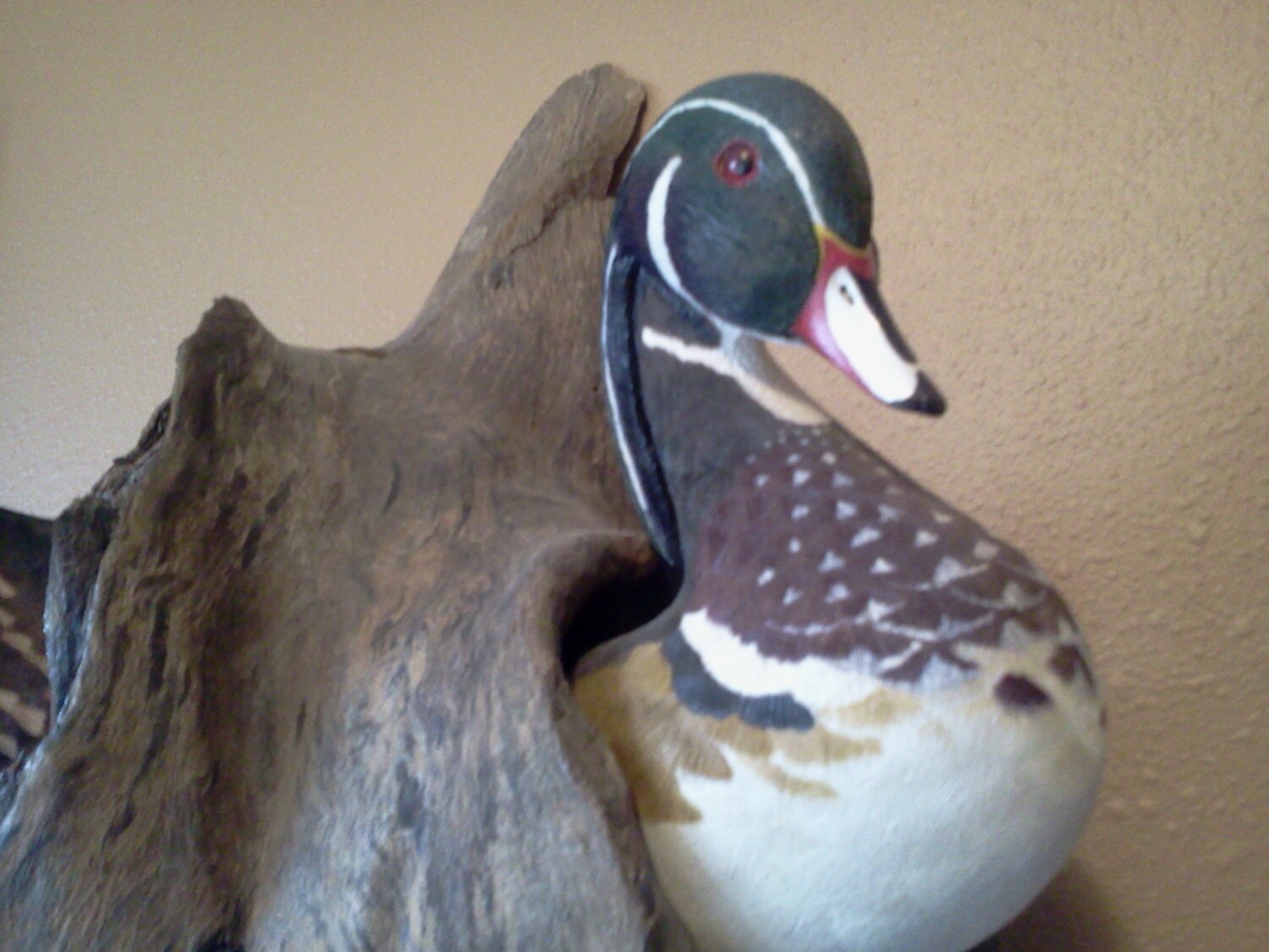 Bass Wood Carving of Nesting Wood Duck Pair - Etsy