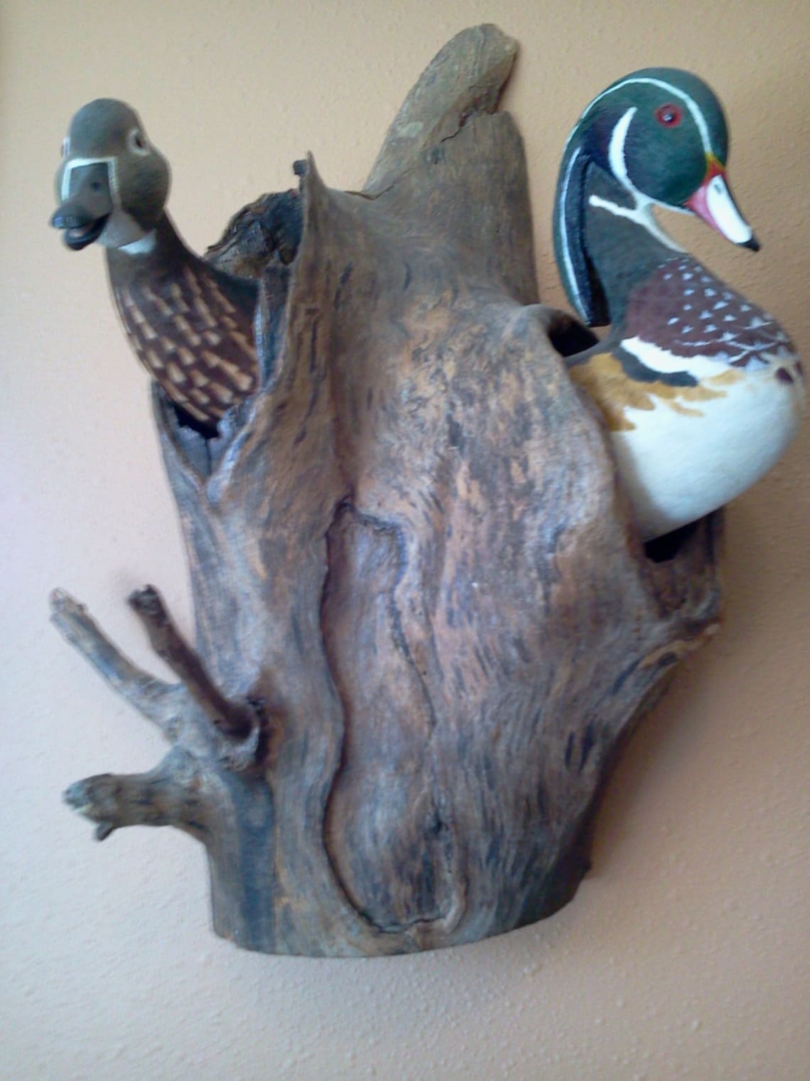 Bass Wood Carving of Nesting Wood Duck Pair - Etsy