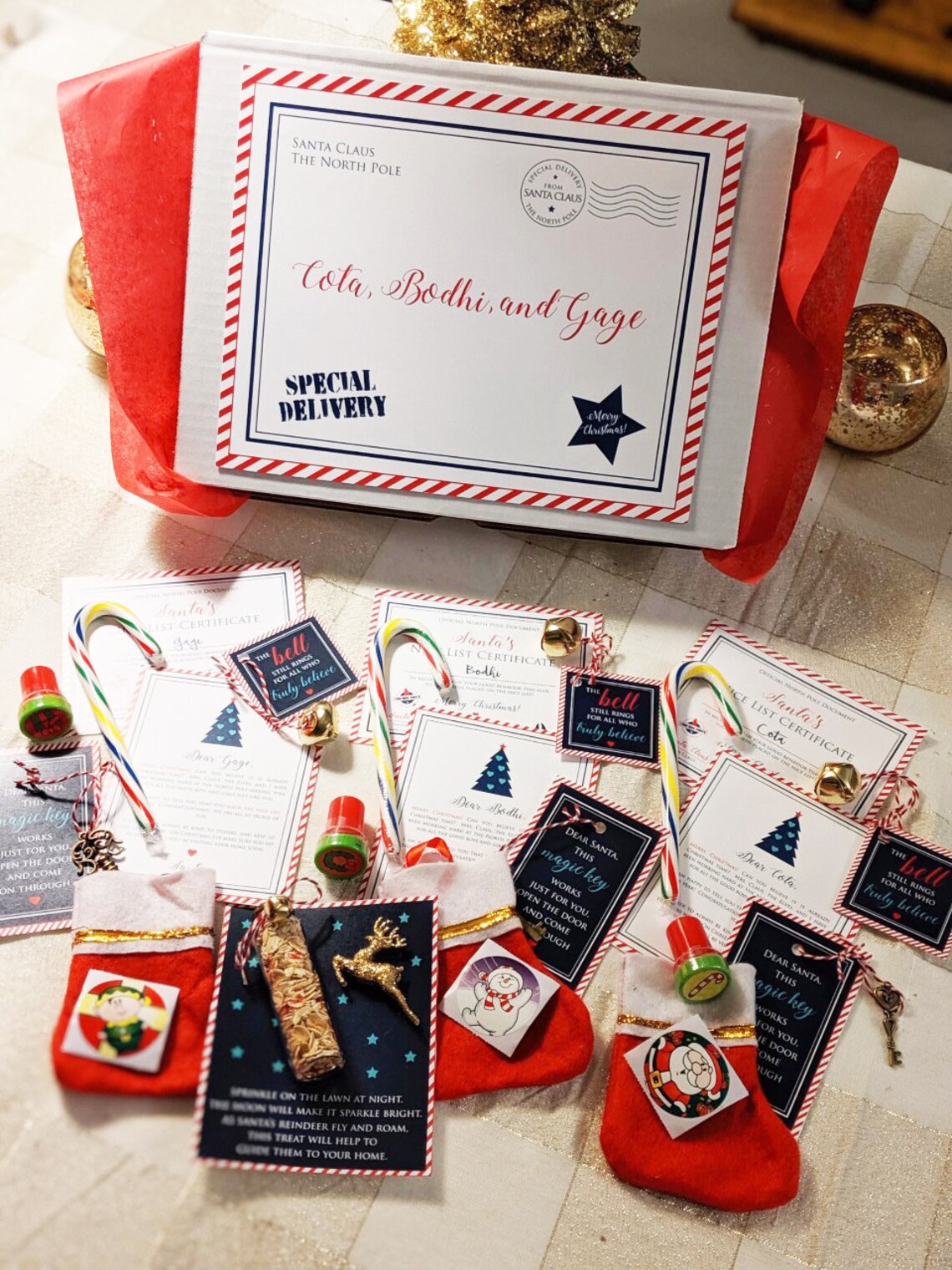 Personalized Christmas Box From Santa. Includes Reindeer Food - Etsy