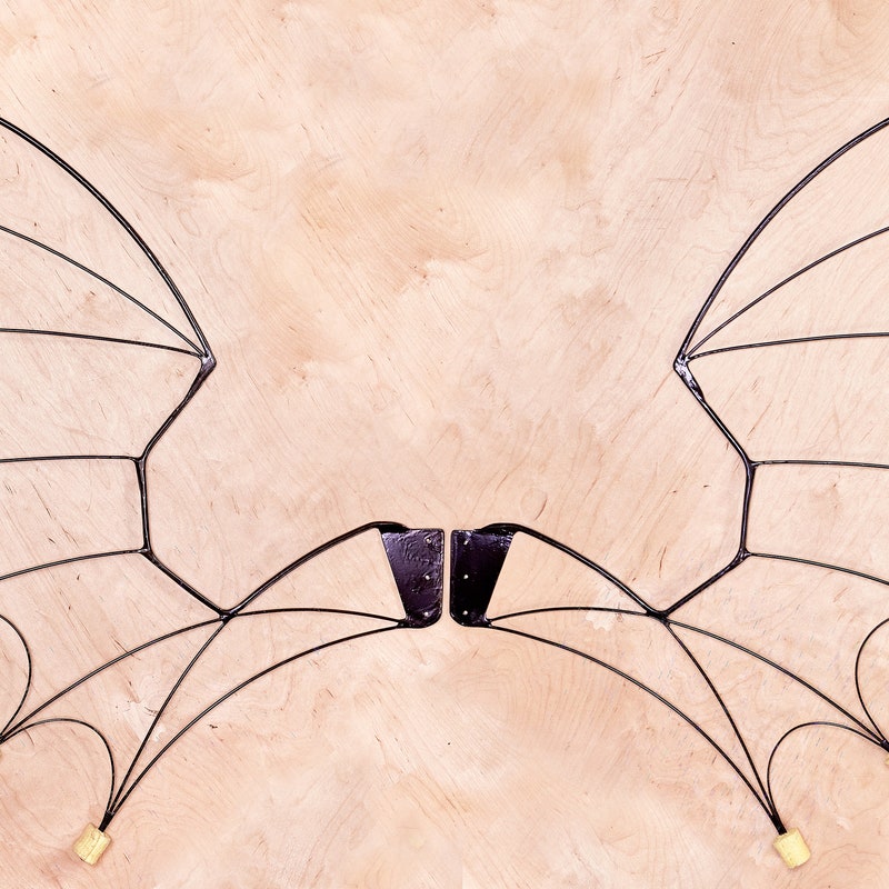 Demon Wings - Etsy