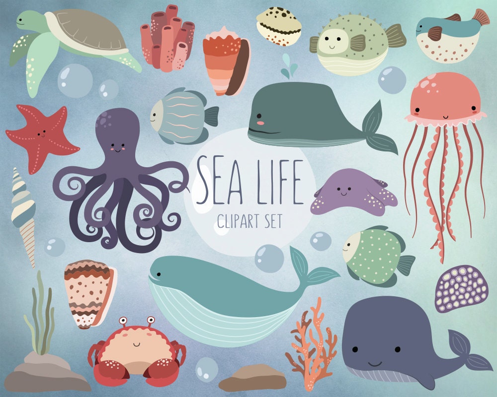 Sea Life Clipart 25 Cute Ocean Animals Clip Art Set - Etsy